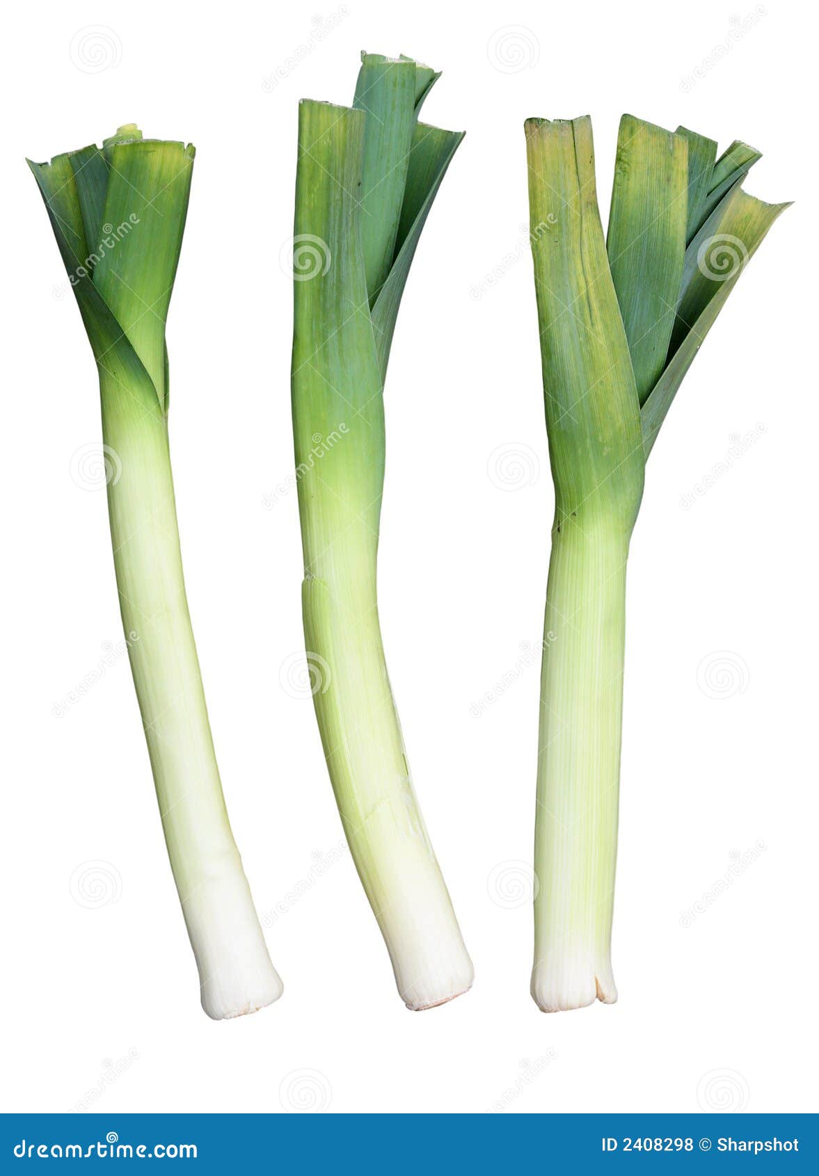 Three Welsh green leeks. stock photo. Image of organic - 2408298