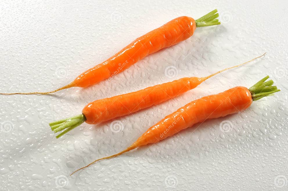 Three wet carrots stock image. Image of isolated, white - 77270415