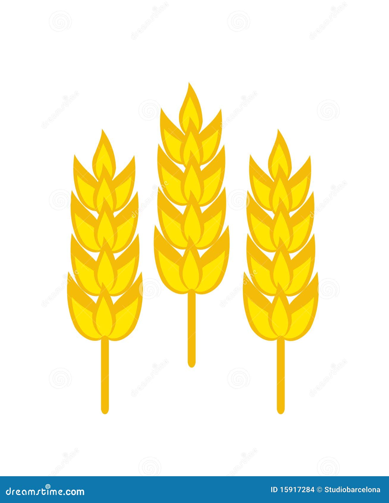 Three wheat ripe ears stock vector. Illustration of emblem - 15917284