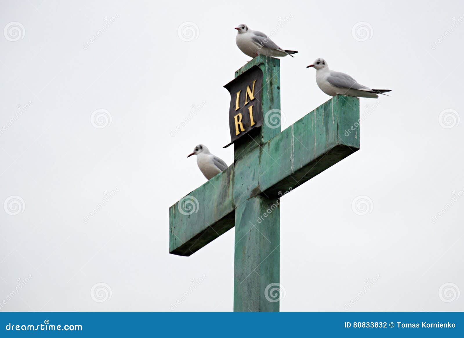 Three White Birds Sitting on the Cross Stock Photo - Image of religion ...