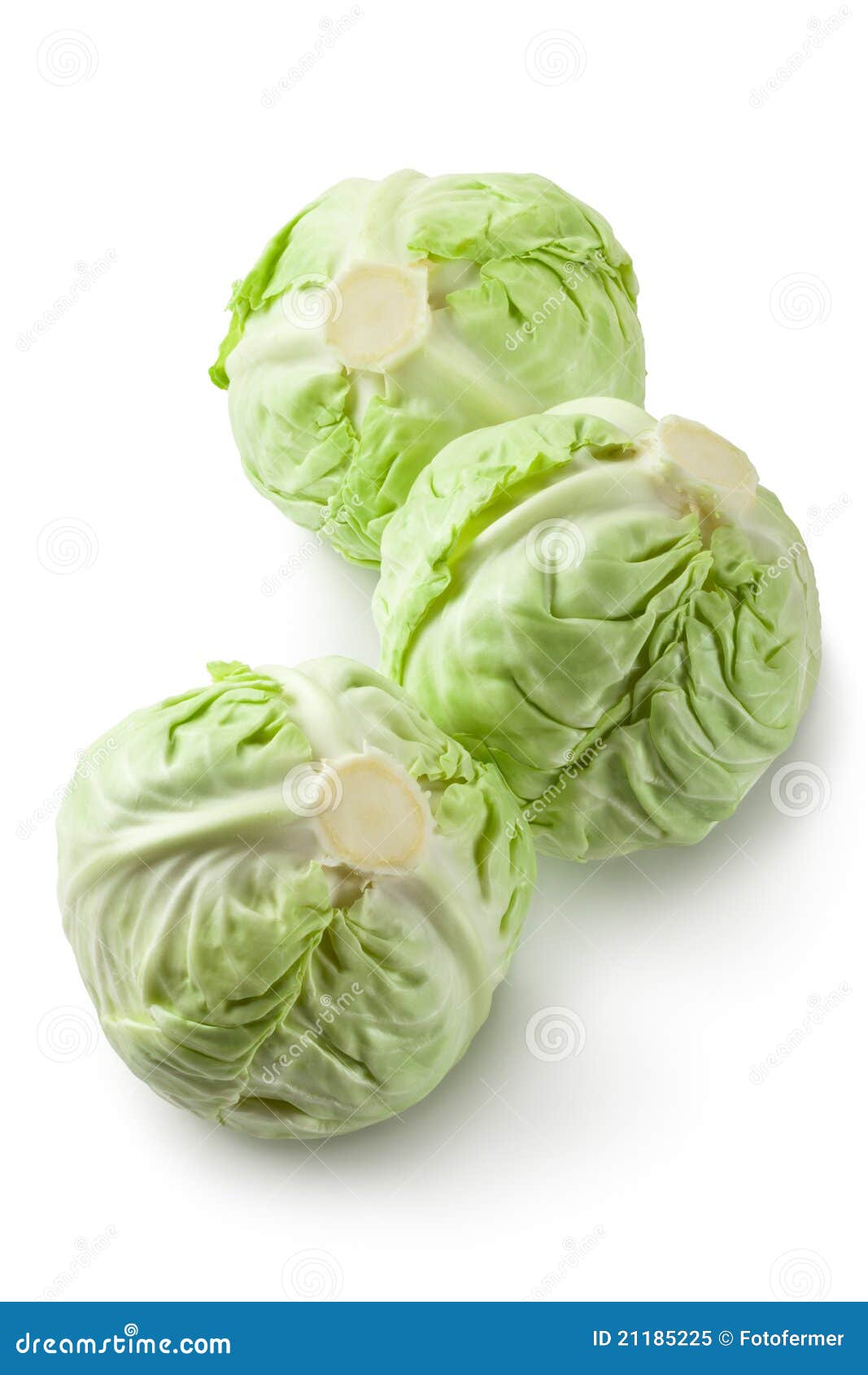Three white cabbages stock image. Image of garden, fresh - 21185225