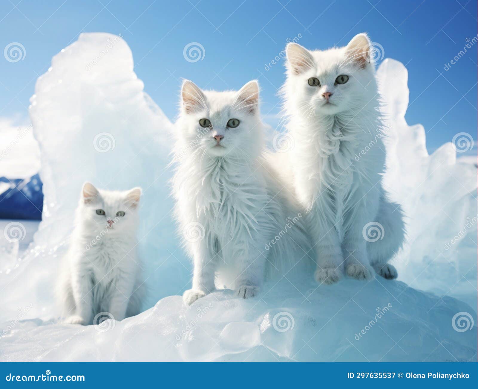 Three White Cats Sitting on the Ice Stock Illustration - Illustration ...