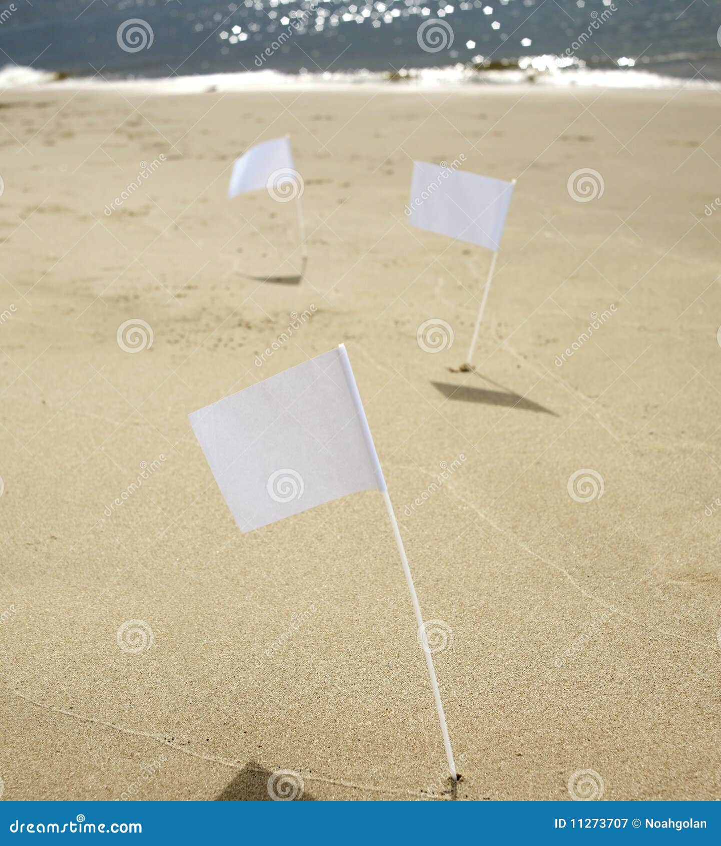 Three White Flags at the Beach Stock Image - Image of ocean, message ...