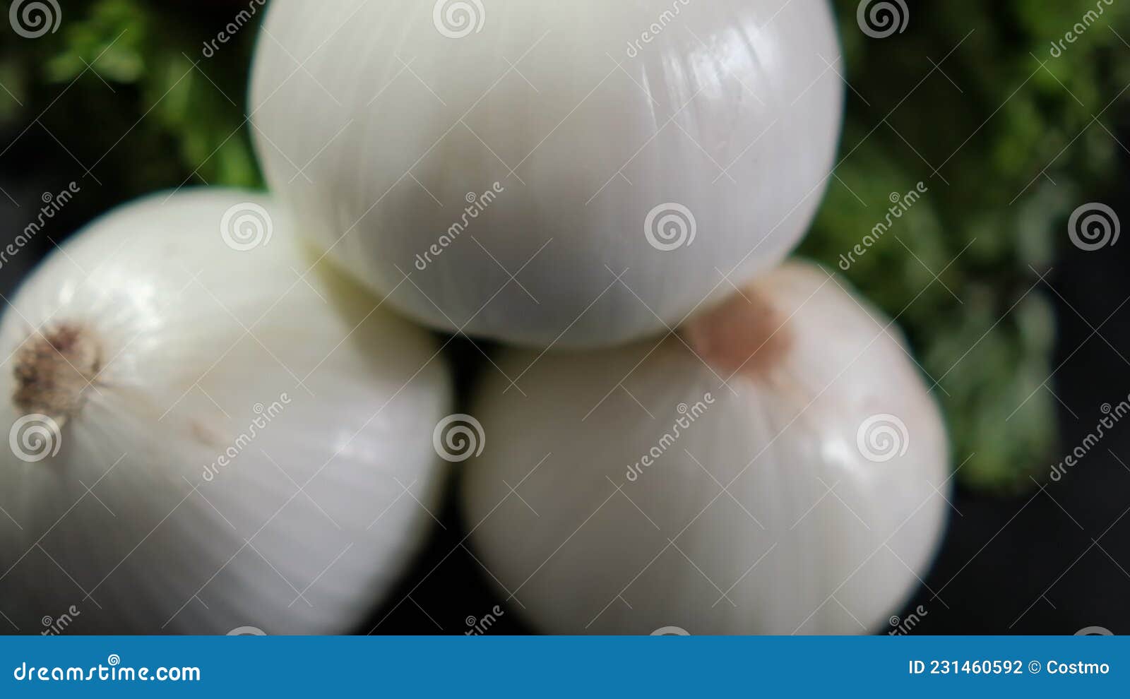 Three White Onions Stacked in a Pyramid in Front of Big Lettuce Stock ...