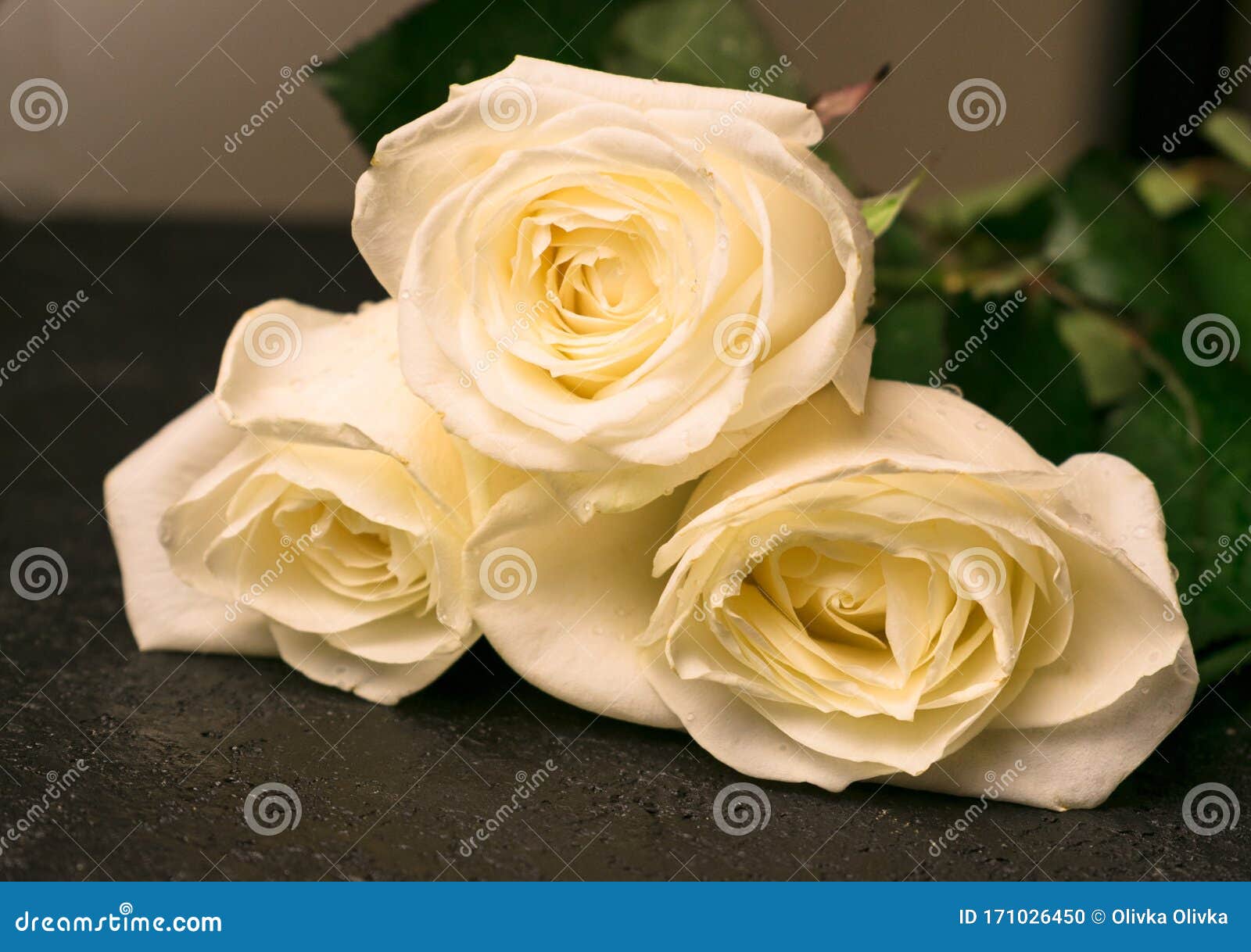Three White Roses on a Black Background. Stock Photo - Image of love ...