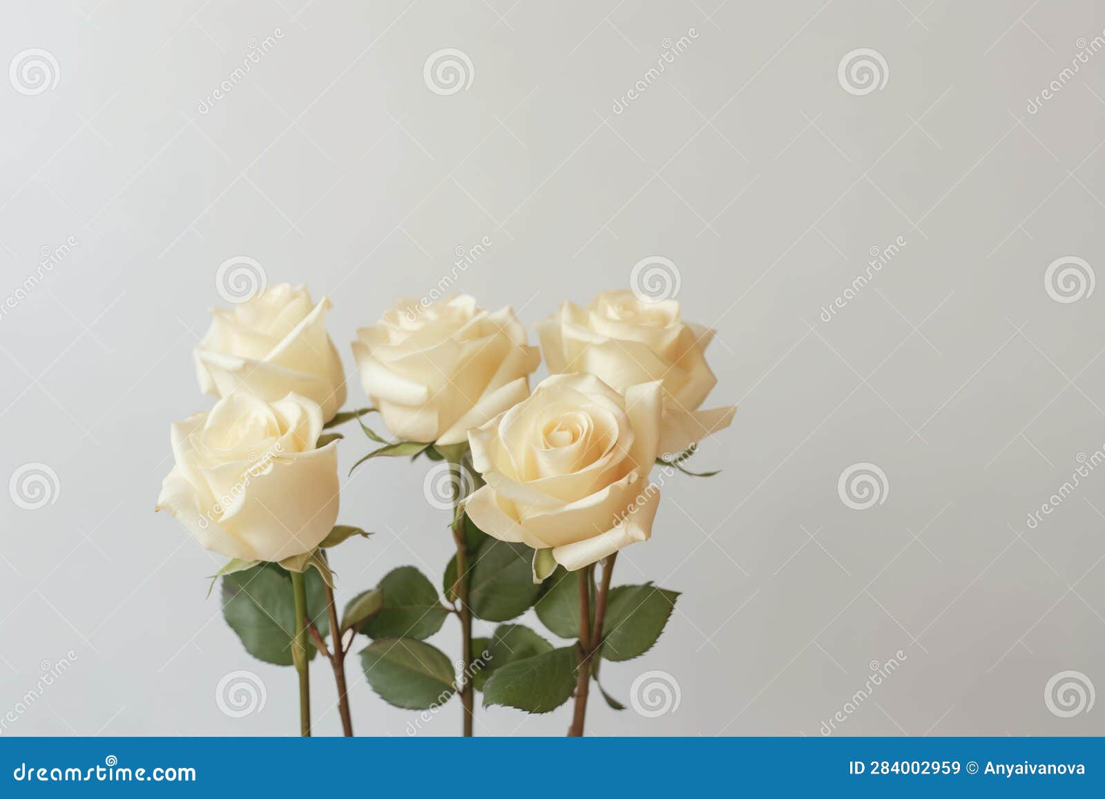 Three White Roses in a Vase on a Table. Generative AI Image. Stock ...