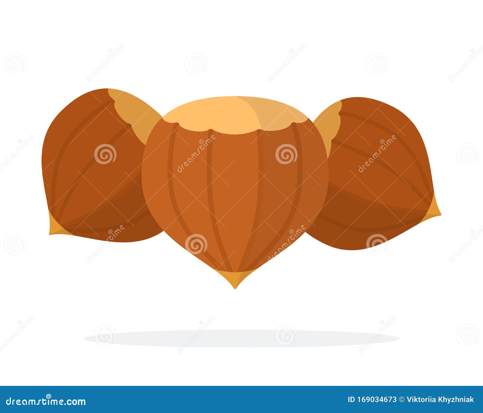 Three Whole Hazelnuts Flat Isolated Stock Vector - Illustration of ...