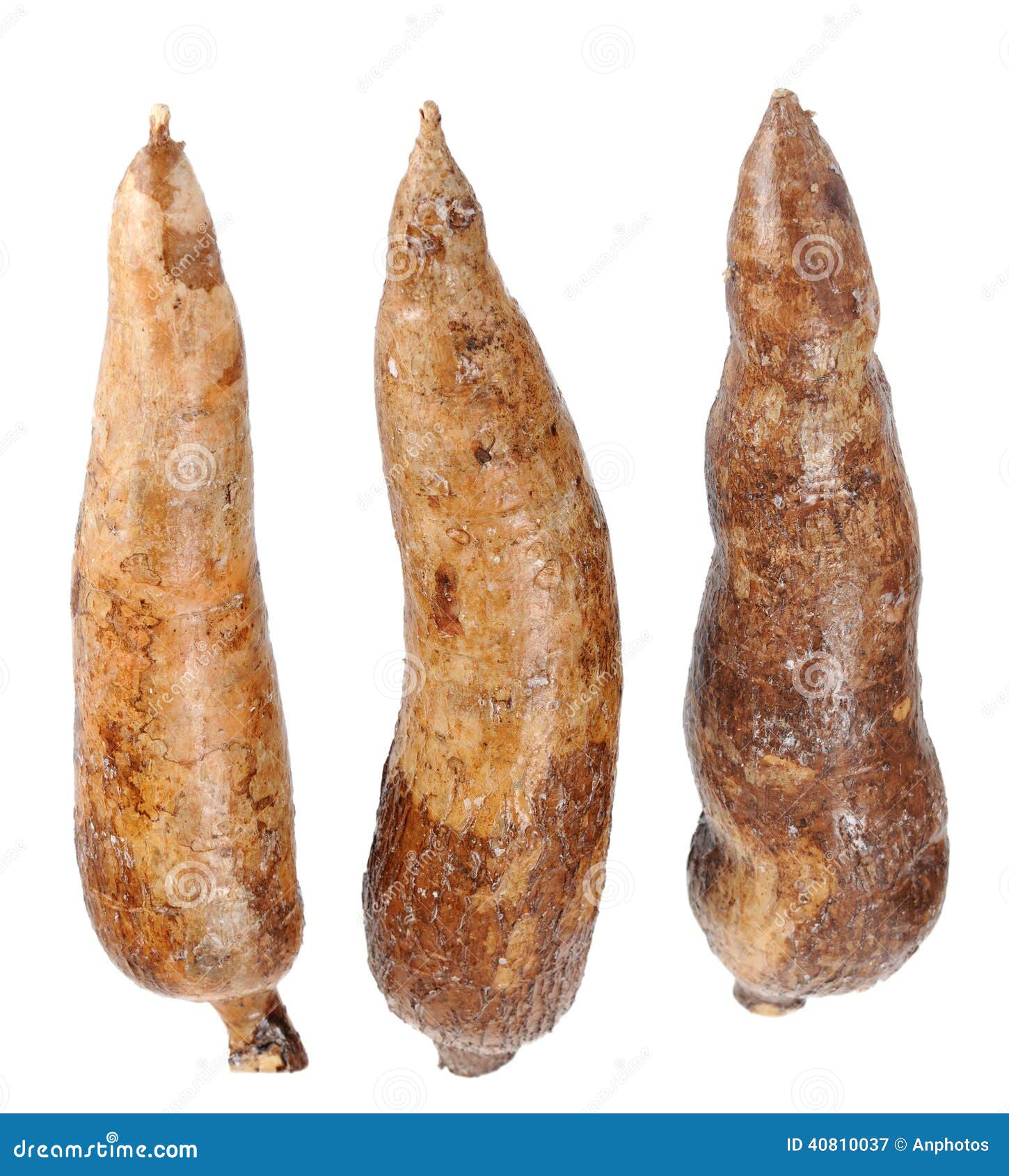 Three whole manioc stock image. Image of natural, casava - 40810037