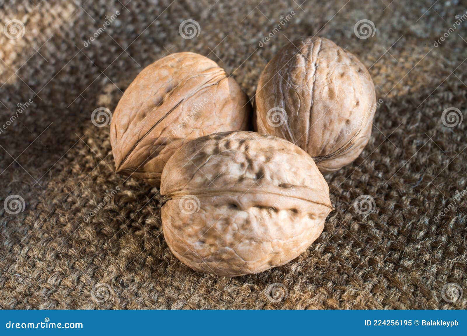 Three Whole Walnuts Close-up Stock Image - Image of rustic, nuts: 224256195