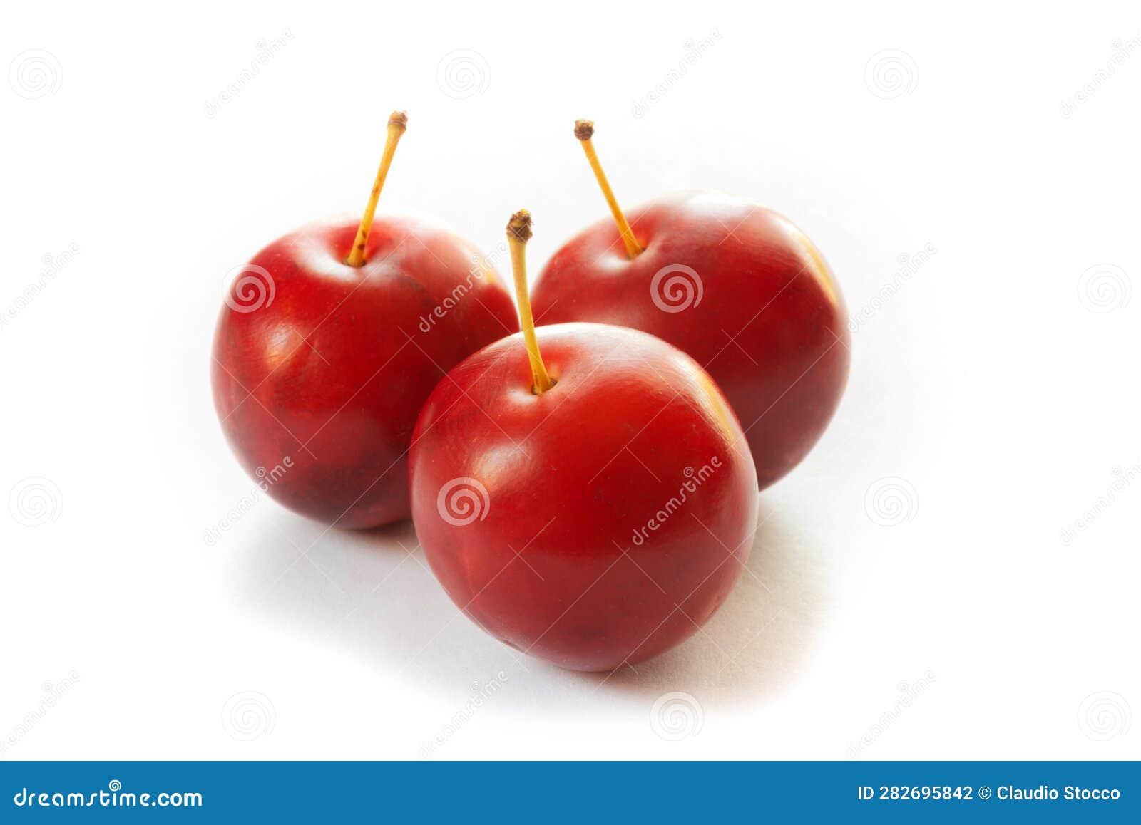 Three Wild Red Plums Isolated on White Background Stock Photo - Image ...