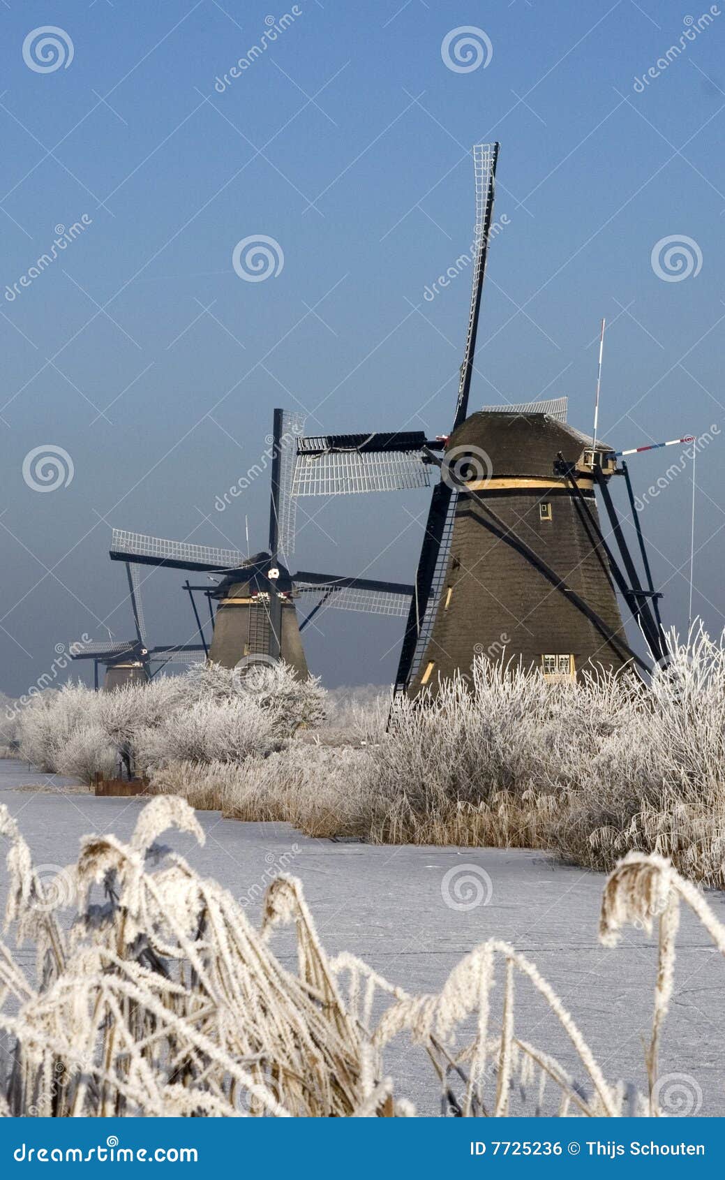 Three windmills stock photo. Image of canal, rotate, wind - 7725236