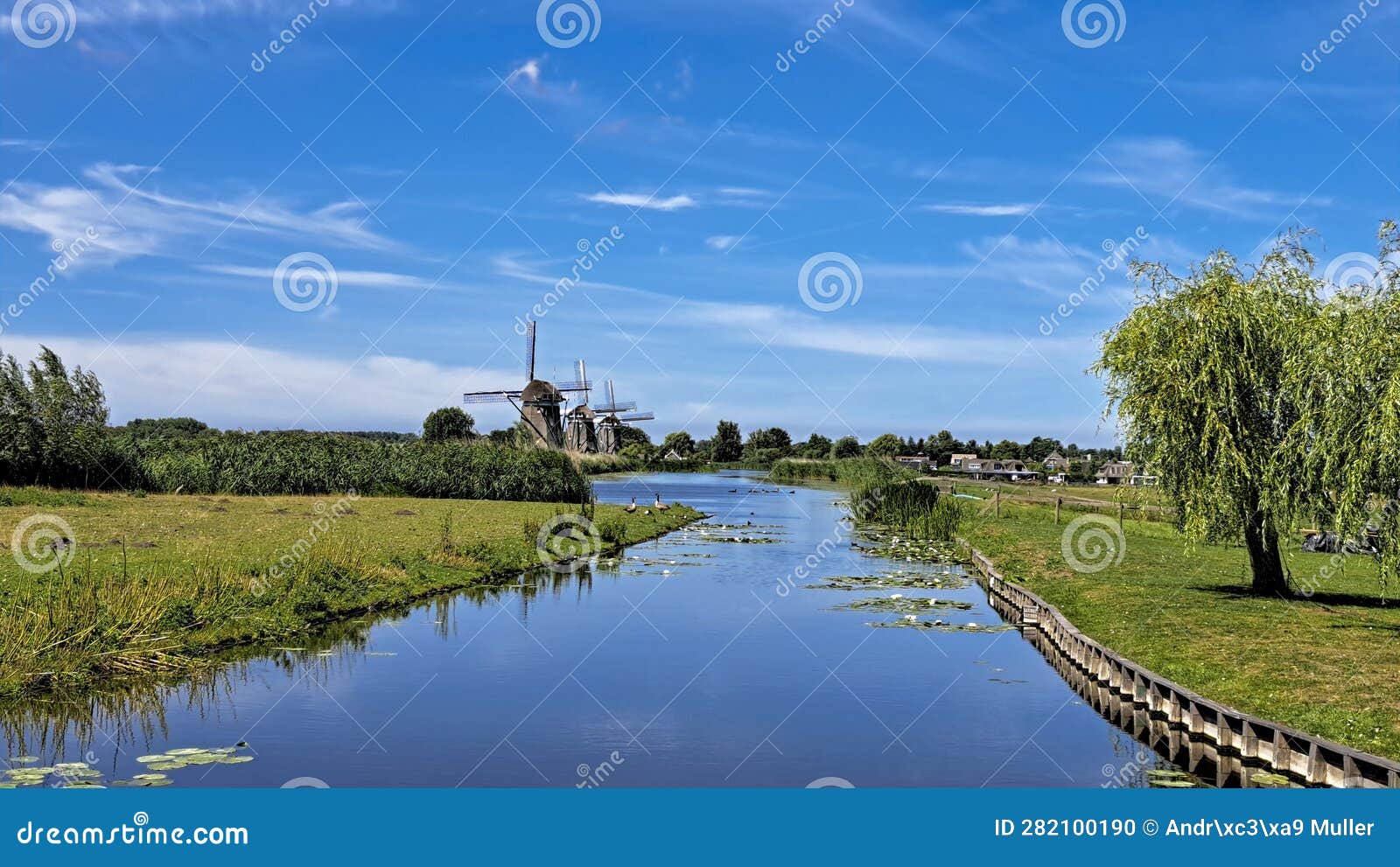 Three Windmills in the Driemanspolder at Stompwijk Stock Photo - Image ...