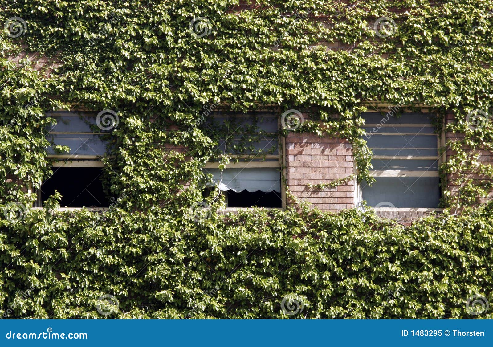 Three Windows Picture. Image: 1483295