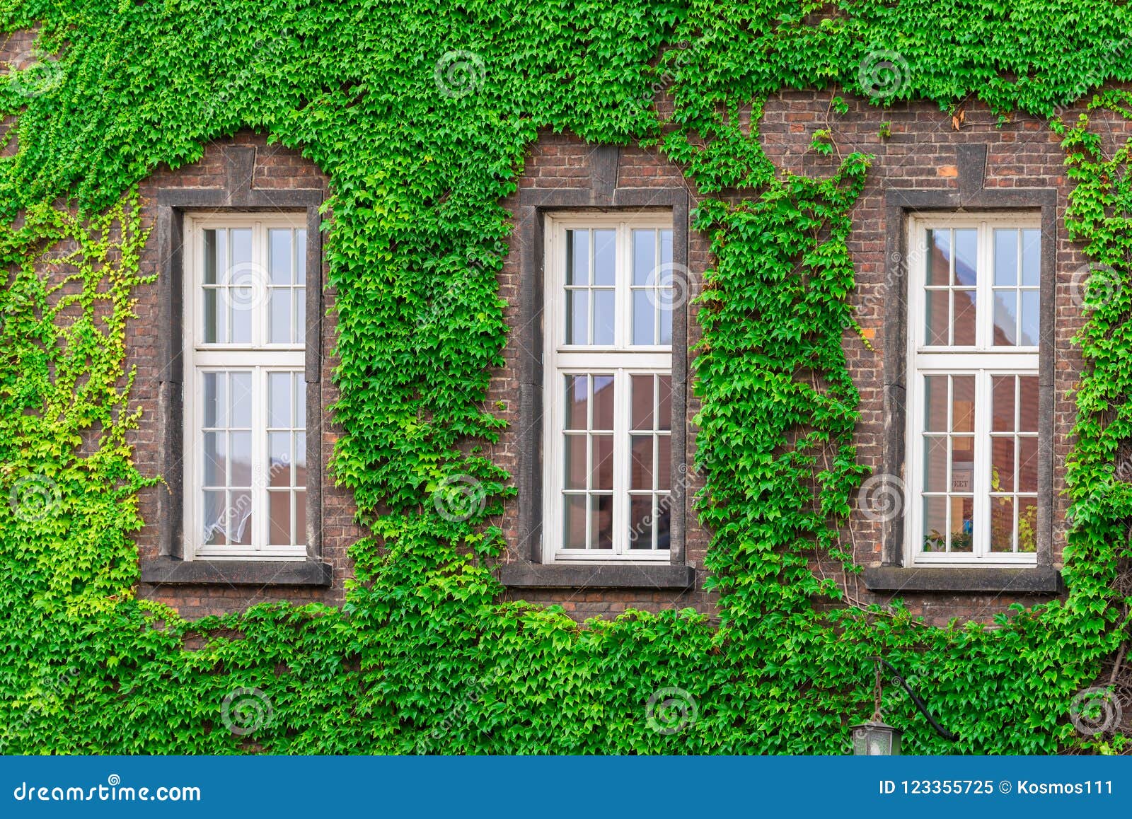 Three Windows of a Brick Building Surrounded Stock Image - Image of ...