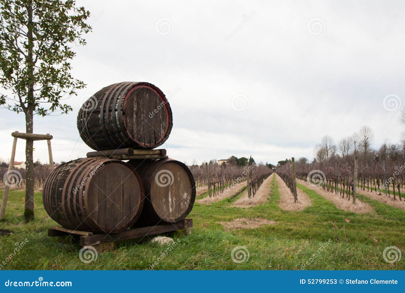 Three wine barrels stock image. Image of wine, sunset - 52799253