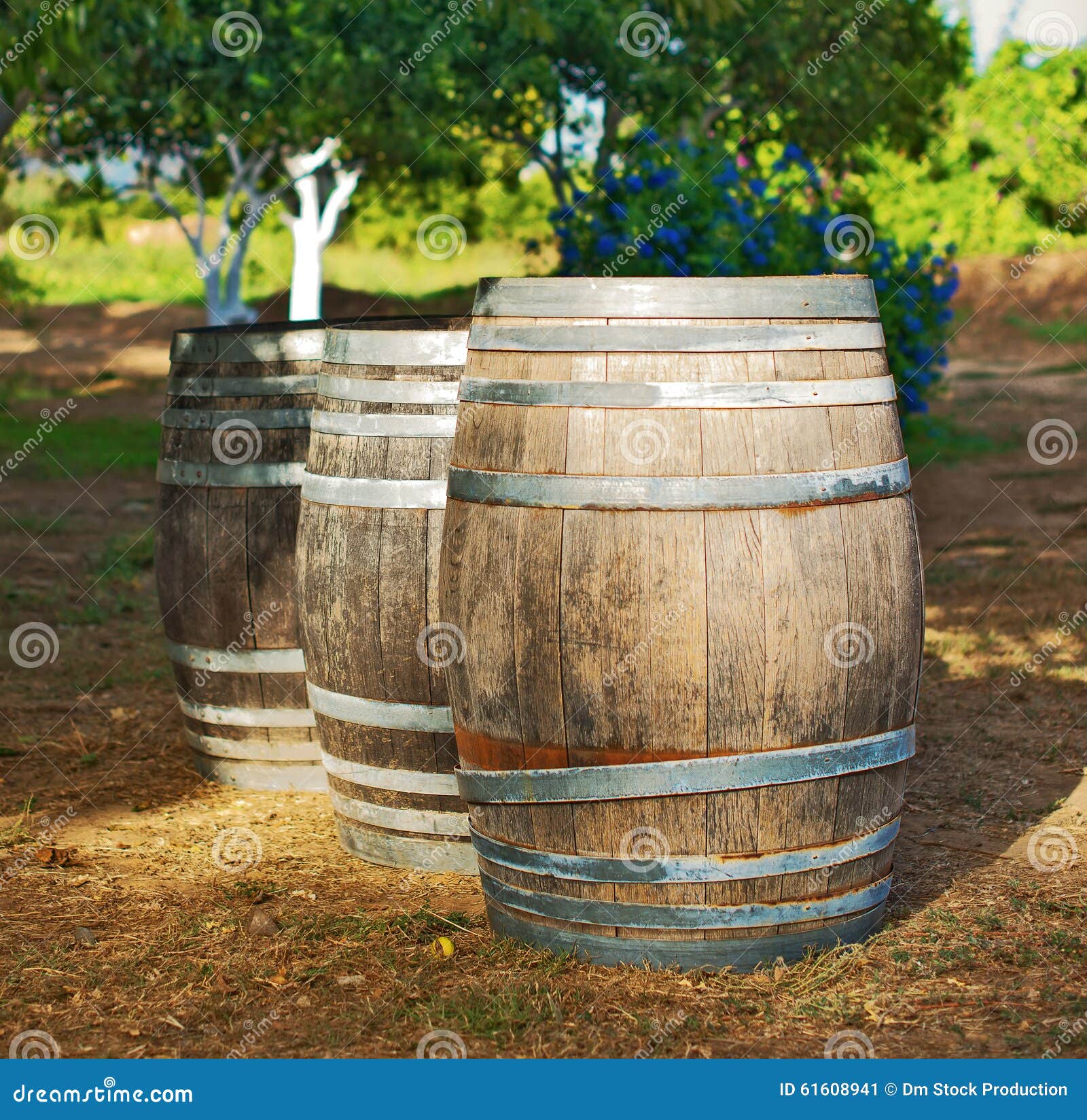 Three wine barrels. stock image. Image of lager, winemaking - 61608941