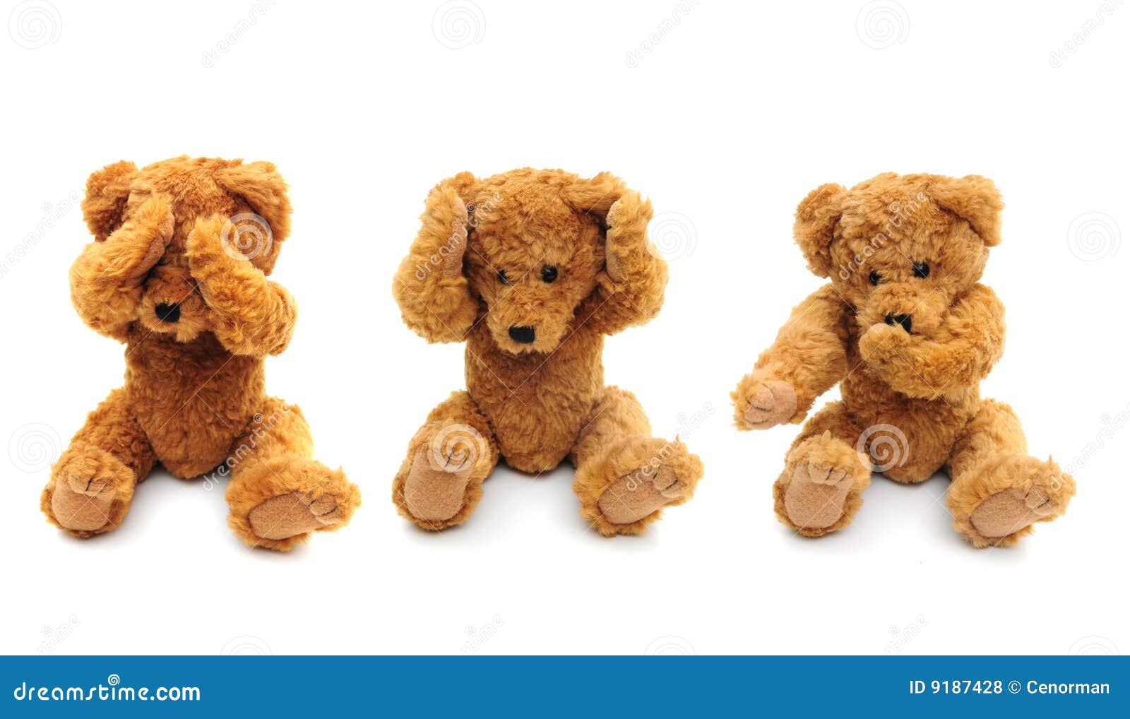 Three wise bears stock photo. Image of eyes, monkeys, evil - 9187428