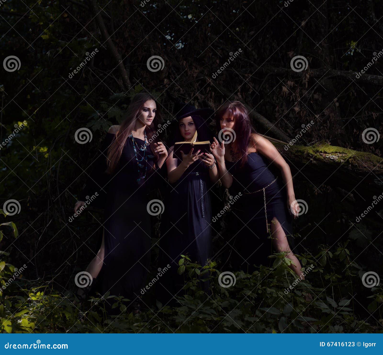 Three witches with book stock image. Image of magic, dress - 67416123