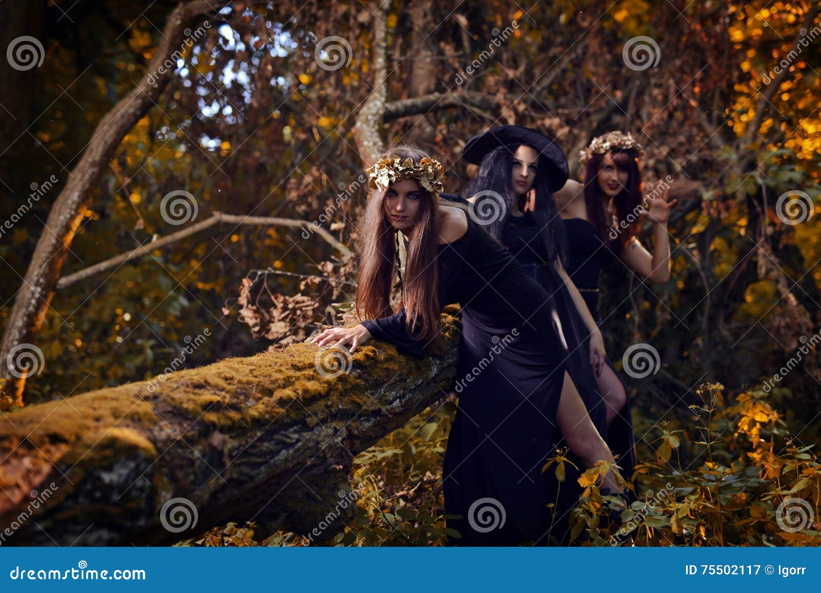 Three Witches in a Dark Forest Stock Image - Image of fairy, female ...