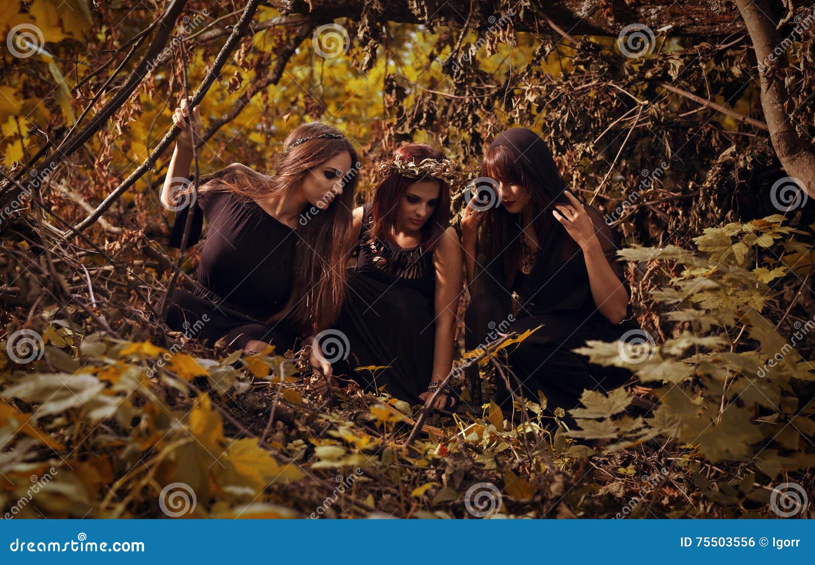 Three Witches in a Dark Forest Stock Photo - Image of twilight, beauty ...