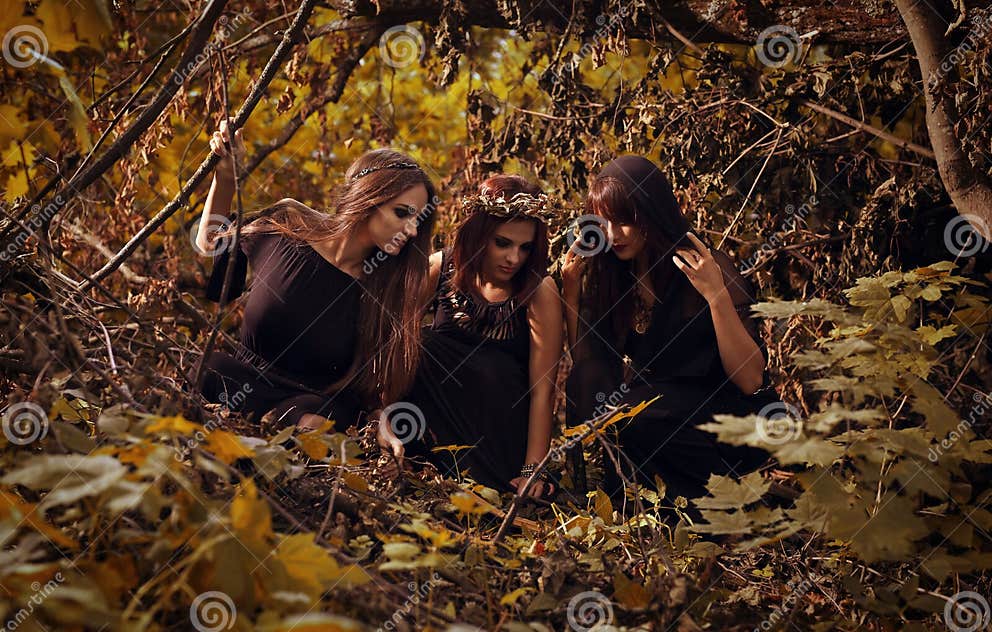 Three Witches in a Dark Forest Stock Photo - Image of twilight, beauty ...
