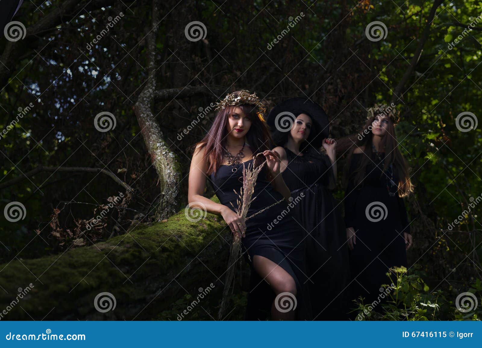 Three Witches in Dark Forest Stock Image - Image of dark, forest: 67416115