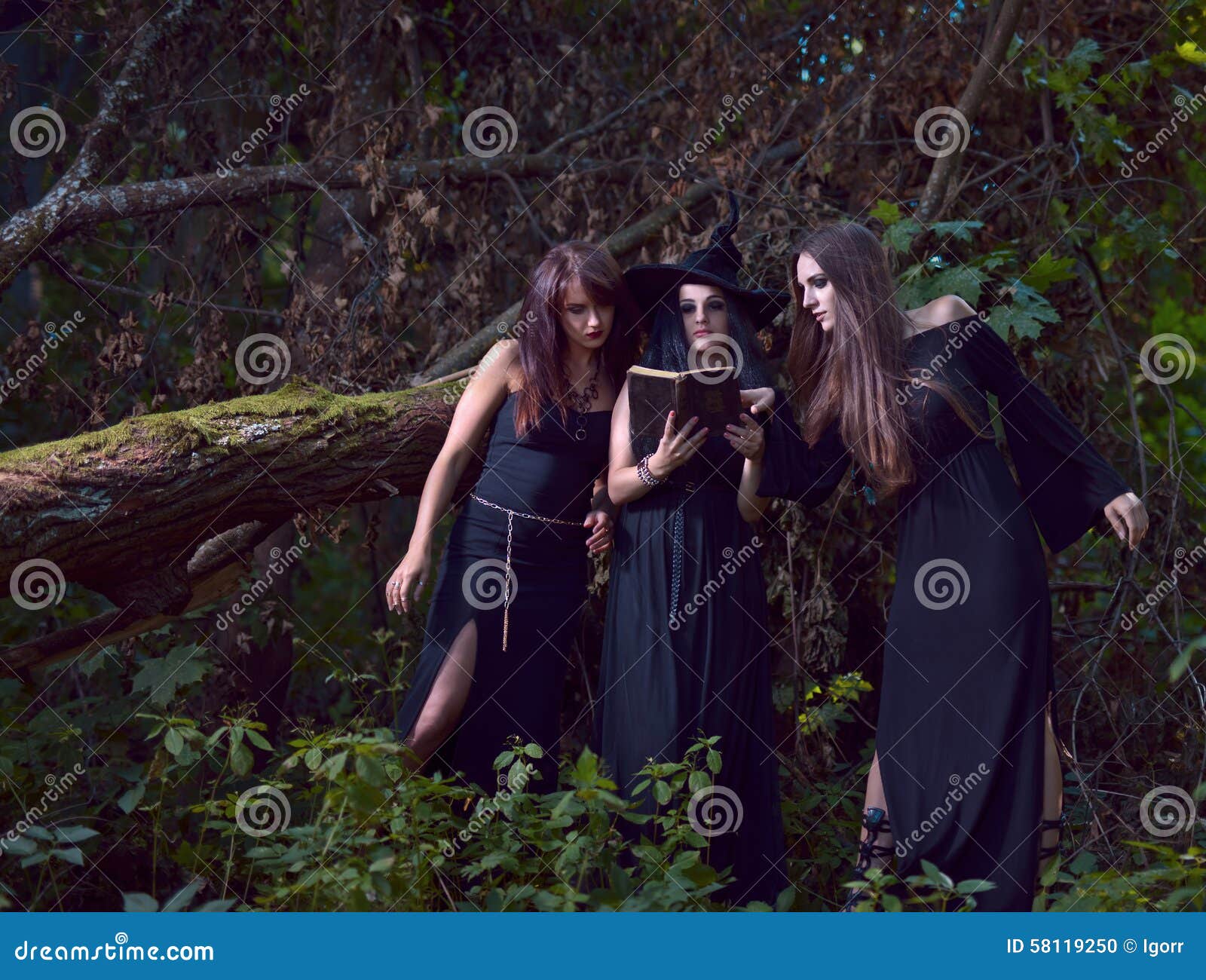Three witches in forest stock photo. Image of tree, twilight - 58119250