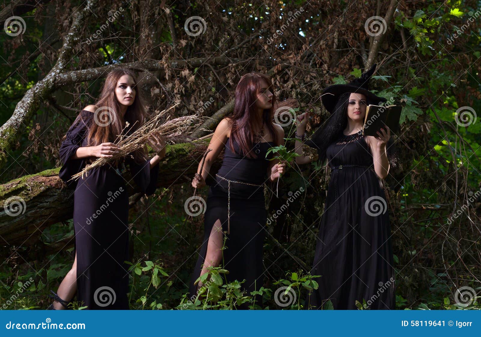 Three witches in forest stock image. Image of lady, nature - 58119641