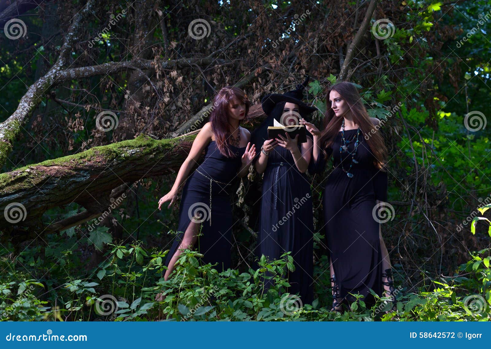 Three witches in forest stock photo. Image of forest - 58642572