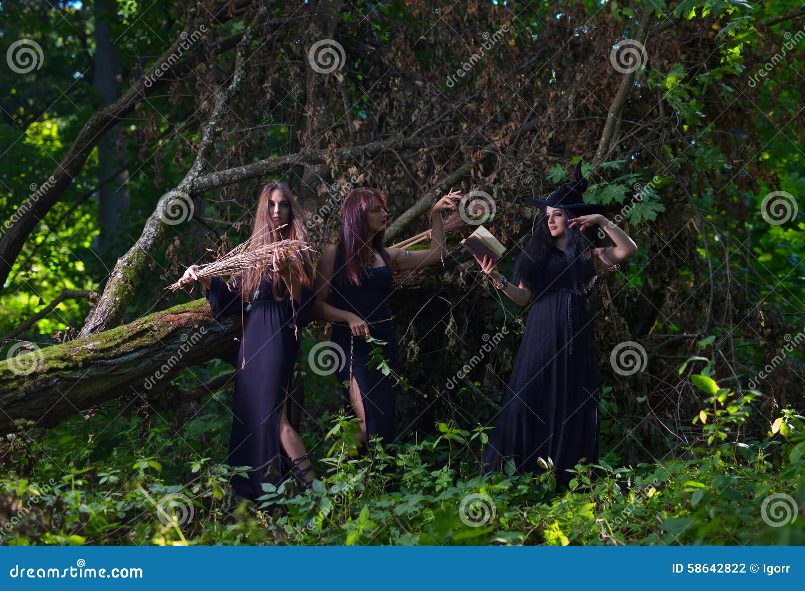Three witches in forest stock photo. Image of twilight - 58642822