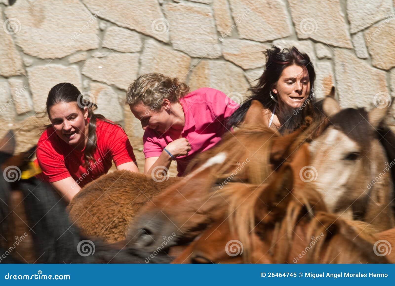 Three Women Riders and One Horse Editorial Image - Image of europe ...
