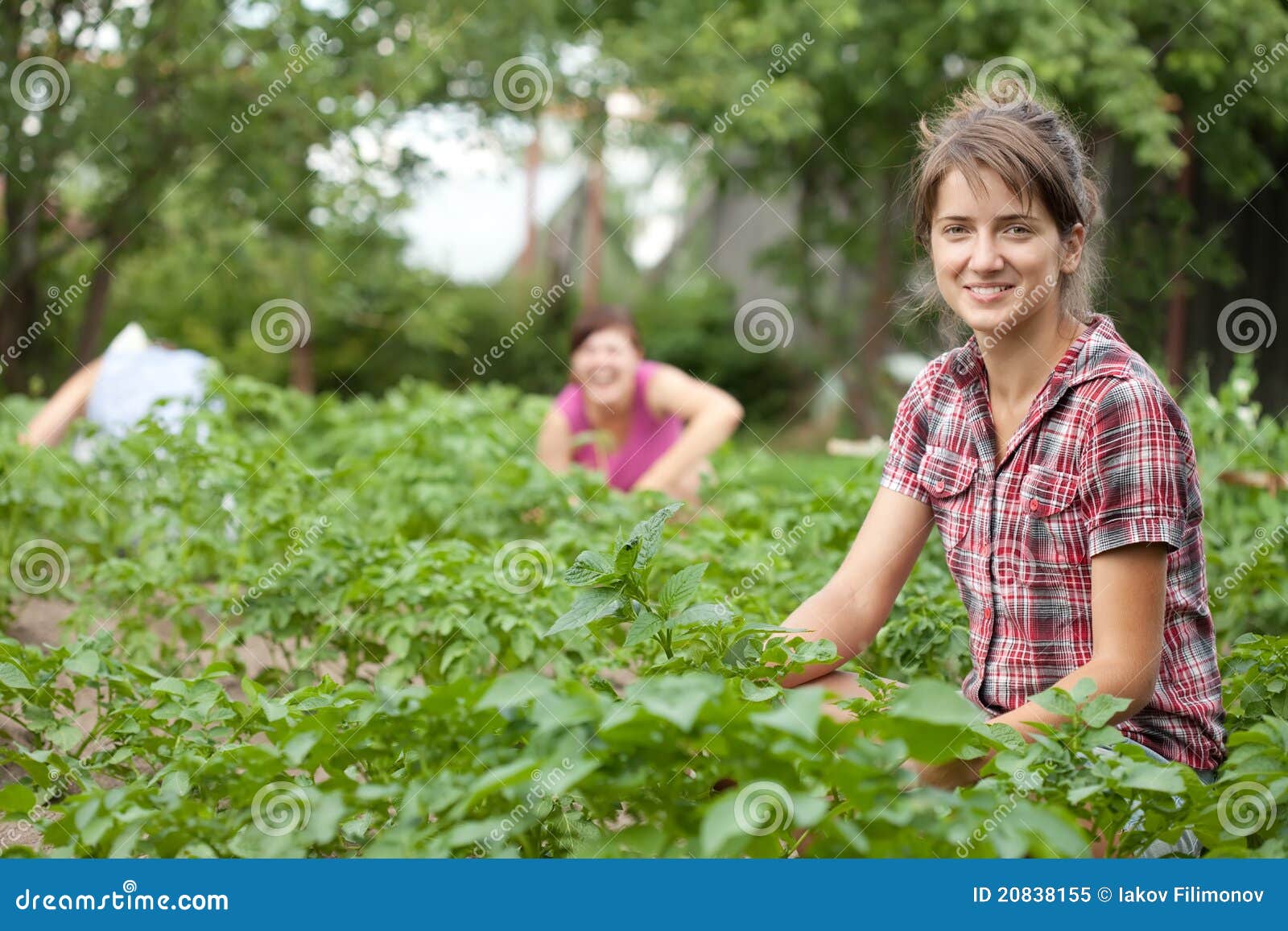 222 Three Women Working Field Photos - Free & Royalty-Free Stock Photos ...