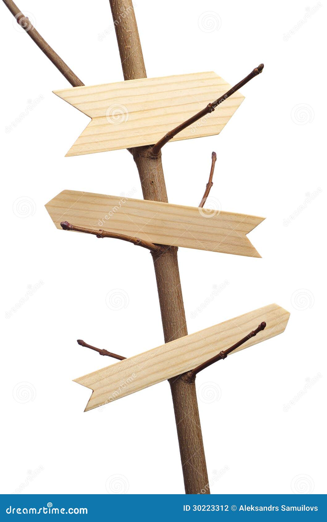 Three Wooden Arrows on a Tree Branch Stock Photo - Image of three ...