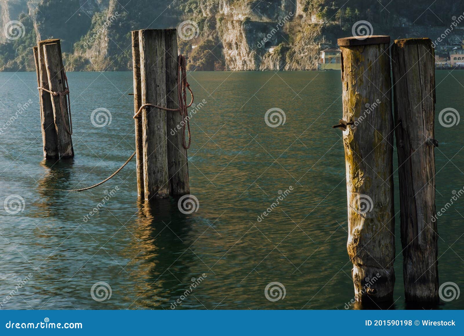 Three Wooden Poles in the Water Stock Photo - Image of liquid, lake ...