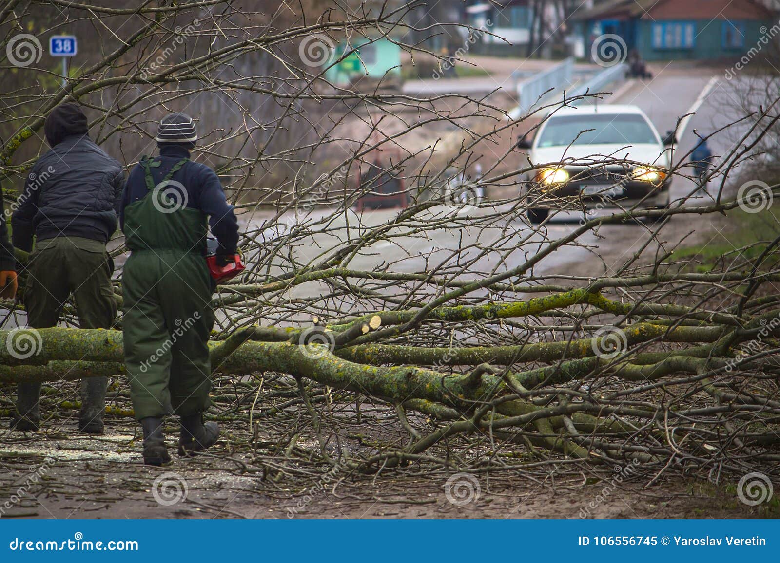 Three Workers are Picking Up a Fallen Tree from the Road Editorial ...