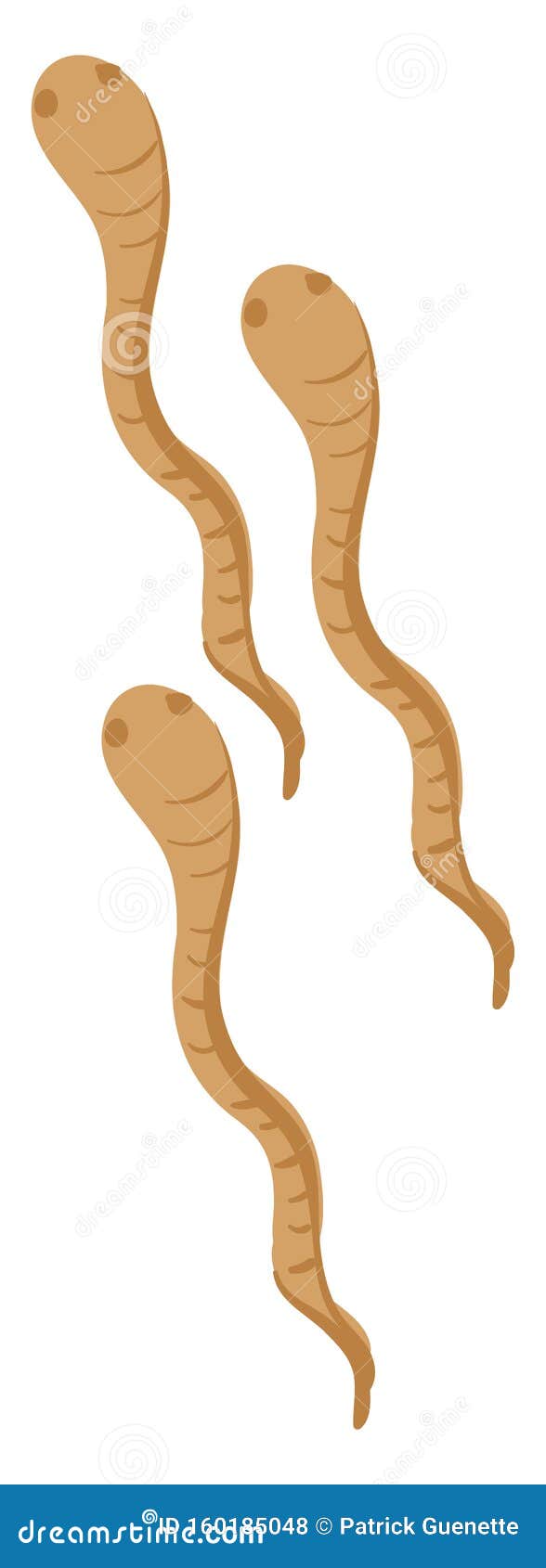 Three Worms, Illustration, Vector Stock Vector - Illustration of ...