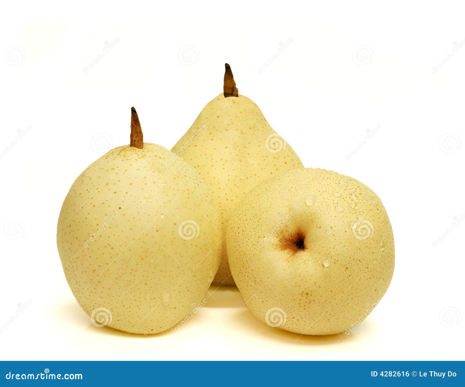 Three Yali Pears stock photo. Image of organic, healthy - 4282616