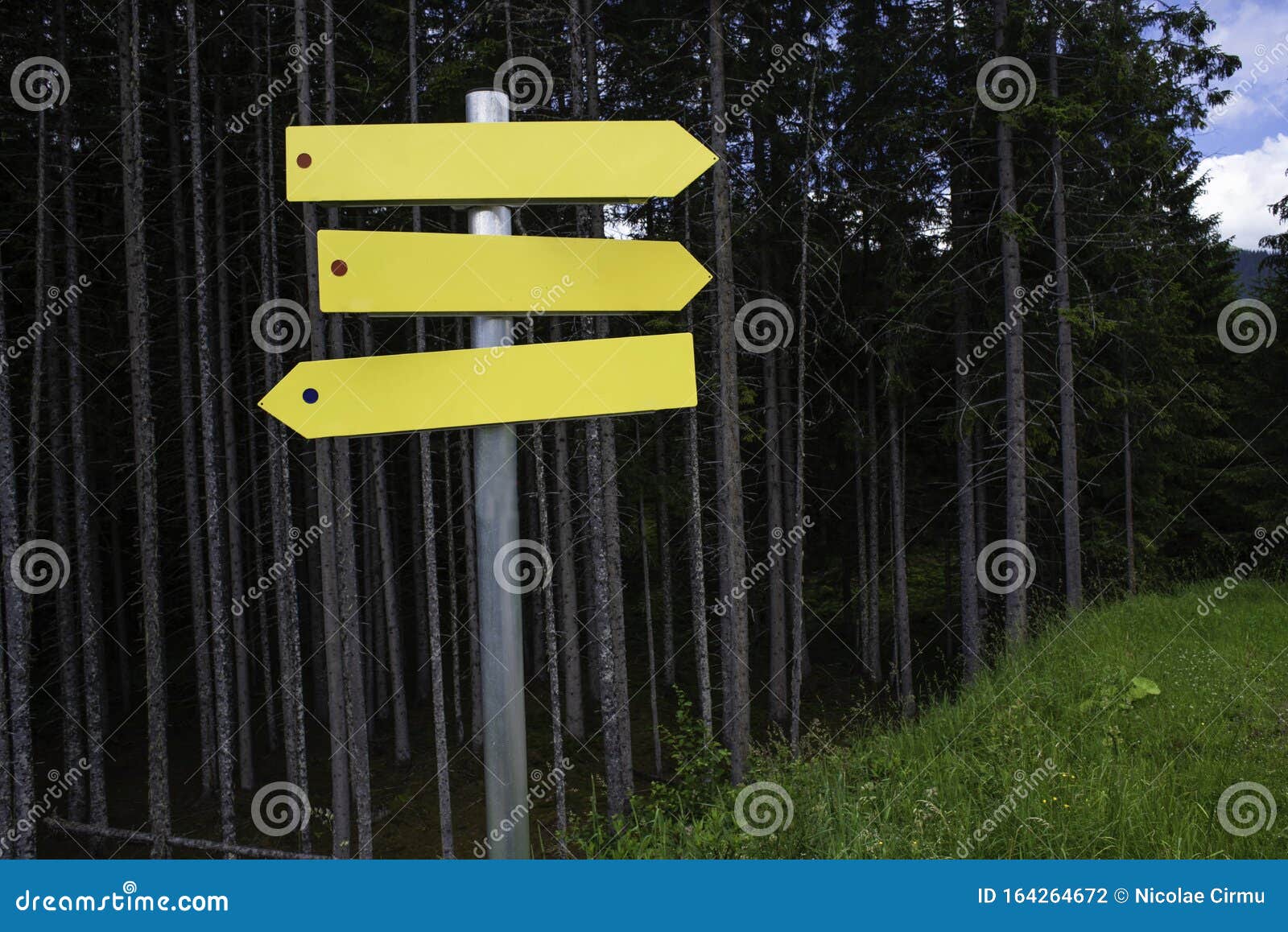 Three Yellow Arrows Indicating Directions Stock Photo - Image of travel ...