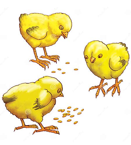 Three yellow chickens stock illustration. Illustration of chicken - 6091759