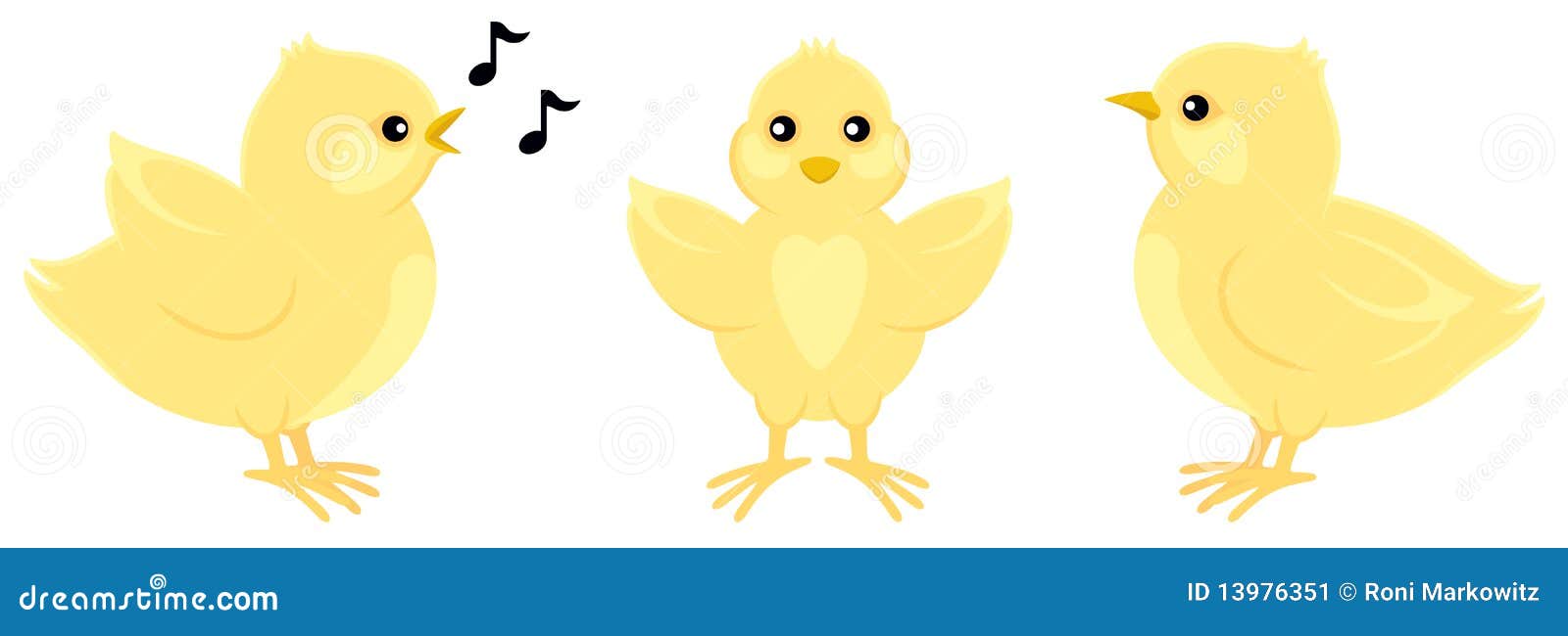 Three Yellow Chicks stock vector. Illustration of baby - 13976351