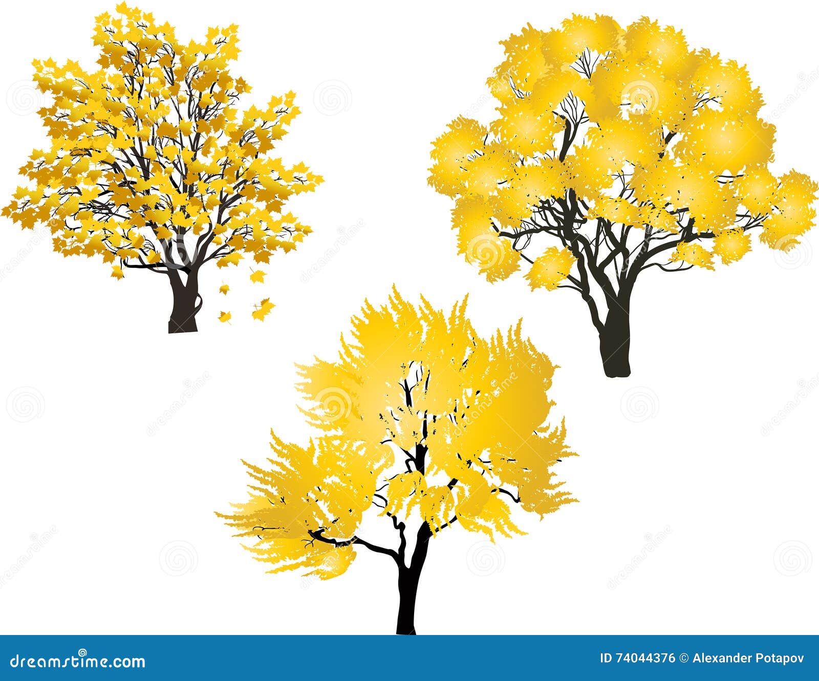 Three Yellow Fall Trees Isolated on White Stock Illustration ...