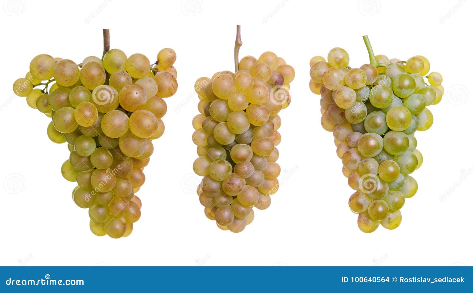 Three Yellow Grapes Isolated on a White Stock Photo - Image of studio ...
