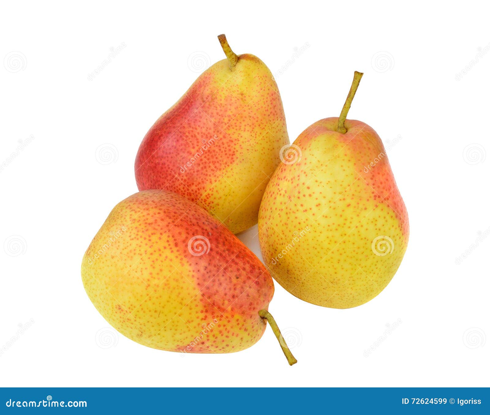 Forella Cultivar Stock Photos - Free & Royalty-Free Stock Photos from ...