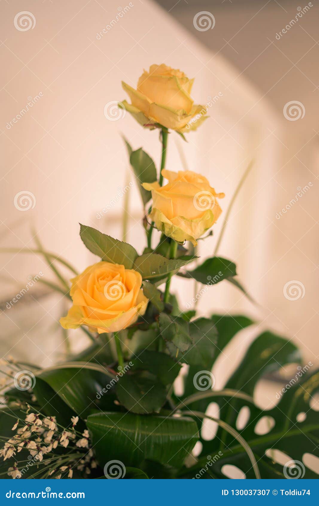 Three yellow roses. stock image. Image of yellow, romantic - 130037307