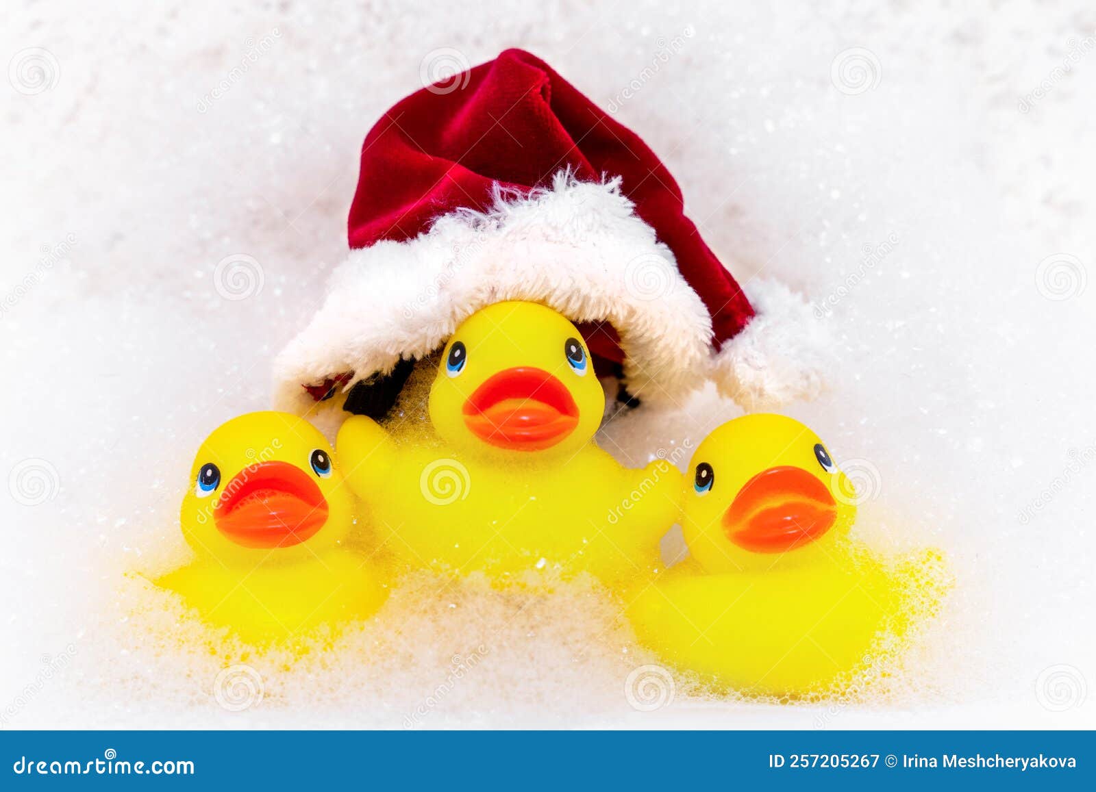 Three Yellow Rubber Ducks for Bathing in a Red Santa Hat Lies in the ...