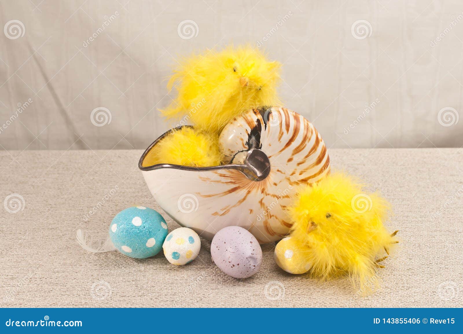 Three, Yellow, Stuffed, Baby Chicks in Nautilus Shell and and Four ...