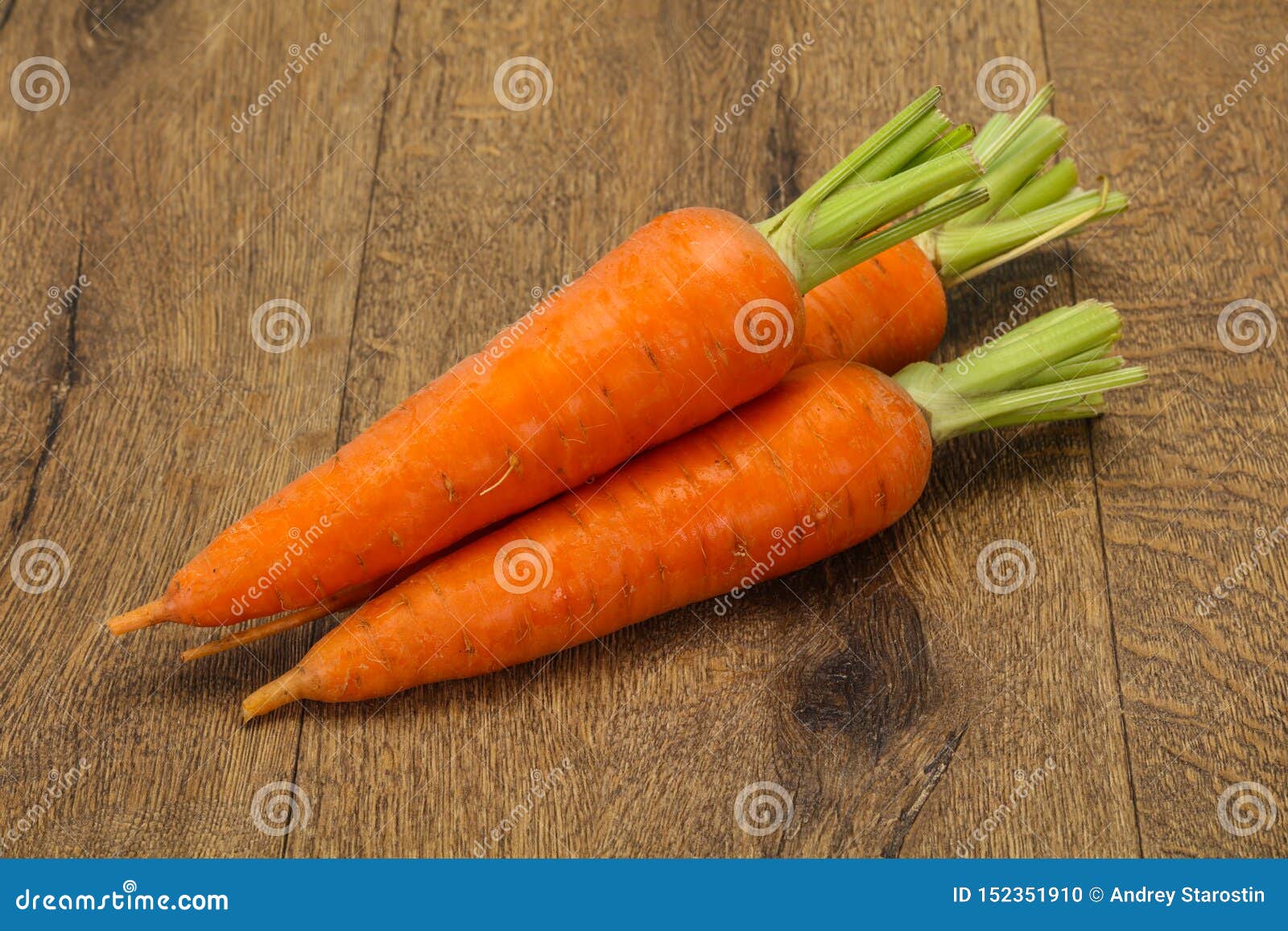 Three Young Fresh Ripe Carrot Stock Photo - Image of ingredient, leaf ...