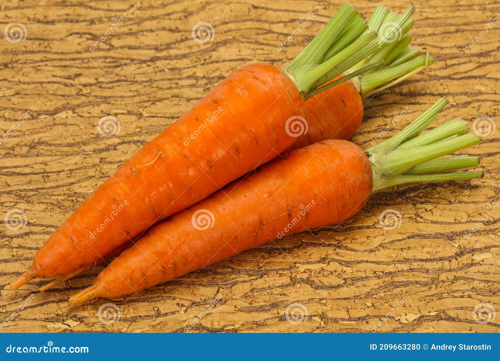Three Young Fresh Ripe Carrot Stock Photo - Image of healthy ...