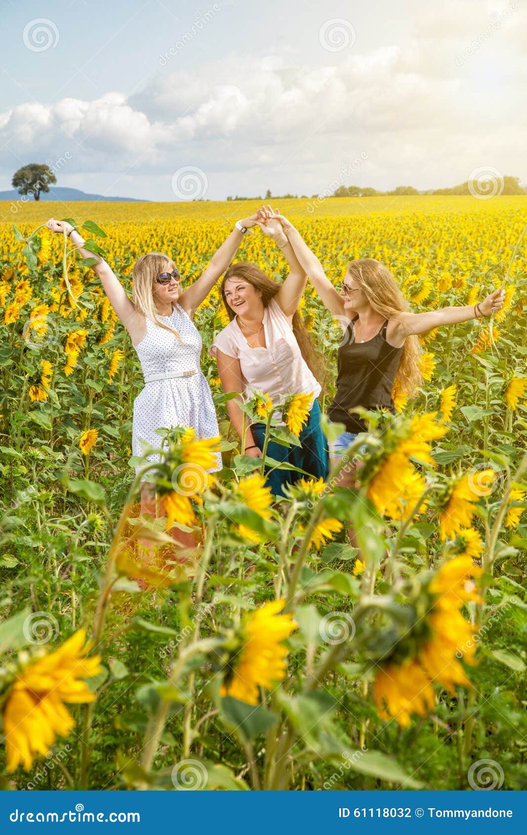 Three Young Friends in a Sunflower Field Stock Photo - Image of holding ...