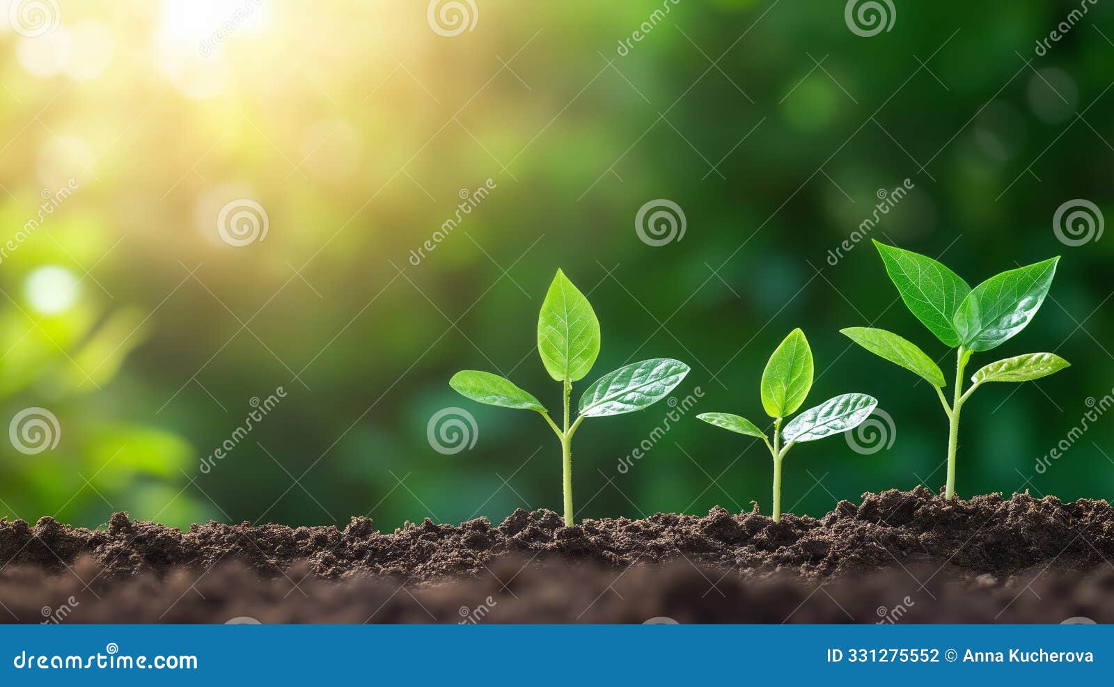 Young Green Spring Leaves Background. Cartoon Vector | CartoonDealer ...
